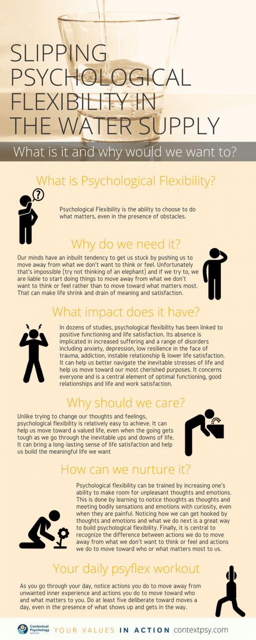 What is psychological flexibility ? - Contextual Psychology Institute